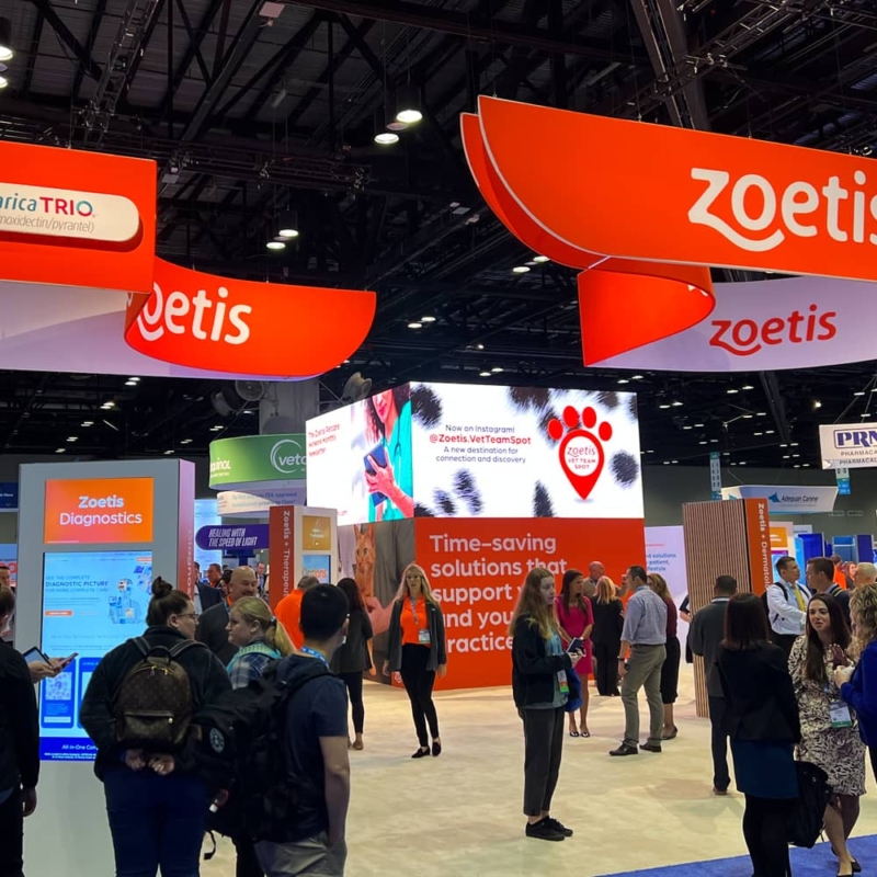 Emersive Digital Media Group – Emersive Digital Media Group – EDMG